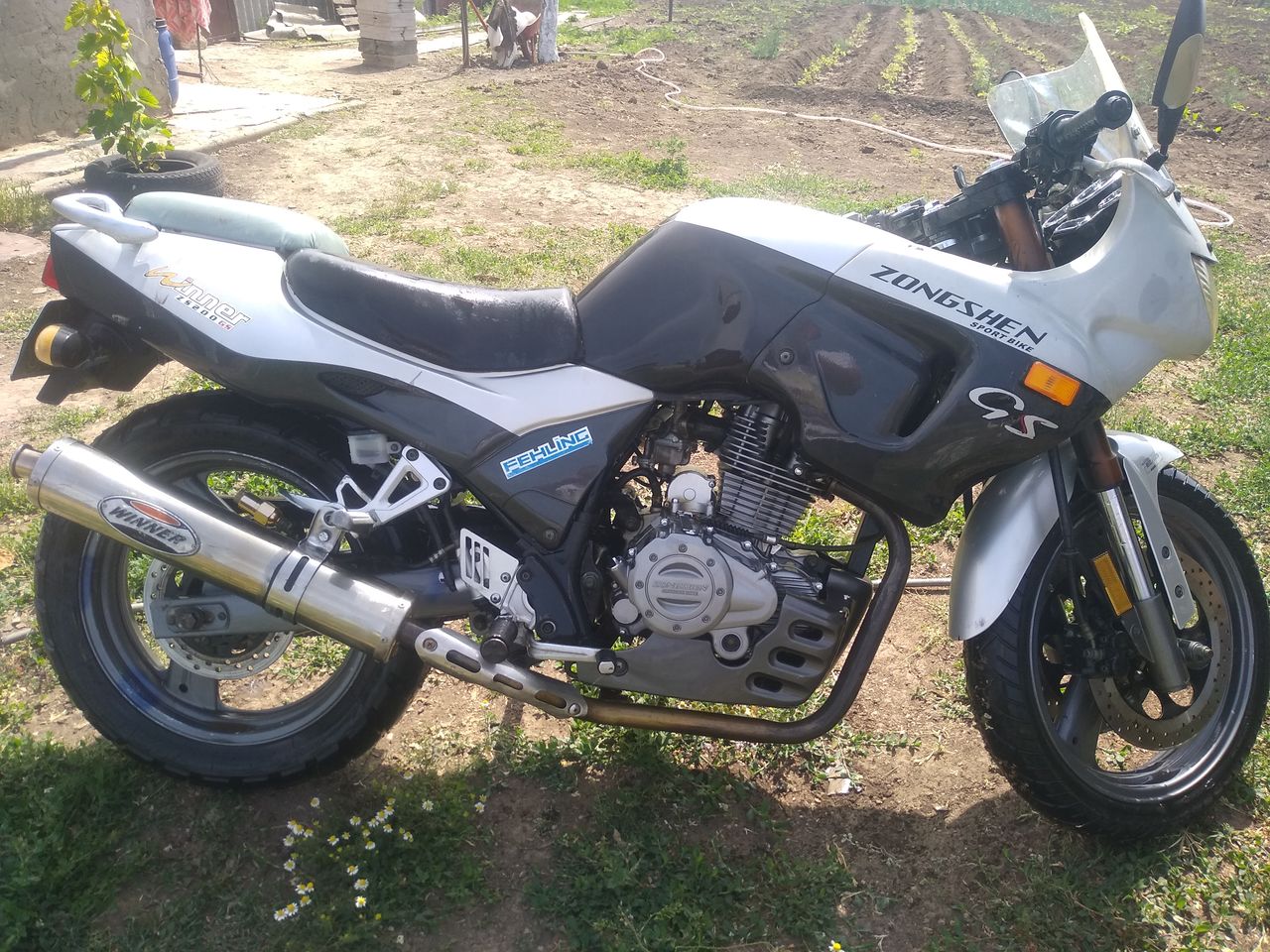 Viper Winner zongshen