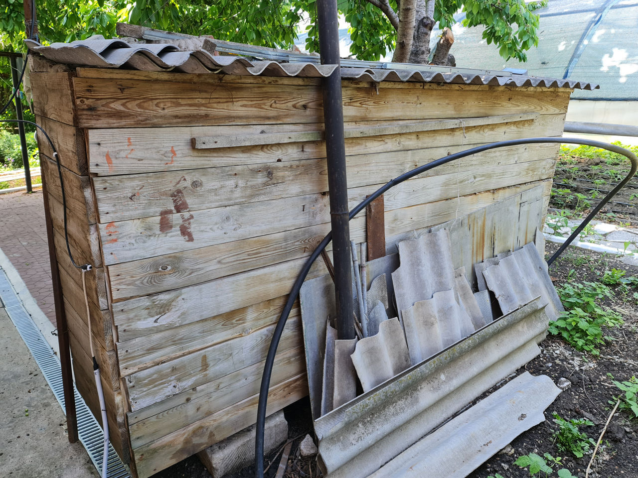 Cusca pentru iepuri.