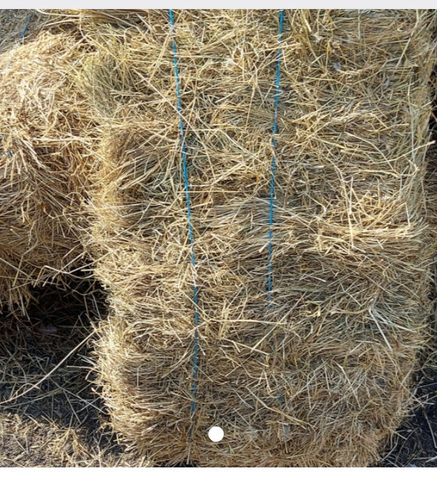 Baloti (tiucuri)de fin