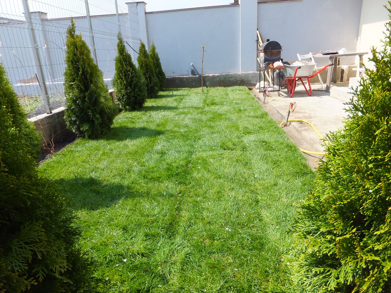 Gazon-rulou natural,instalam gazon-rulou,instalam sisteme de irigare