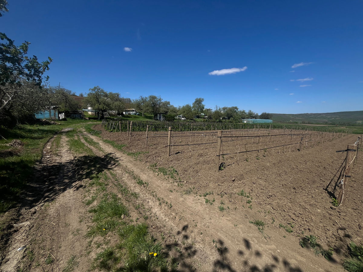 Se vinde teren agricol satul Hoginesti
