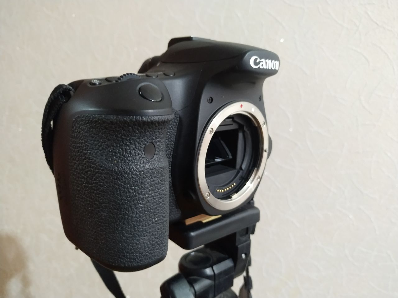 Canon 60D body