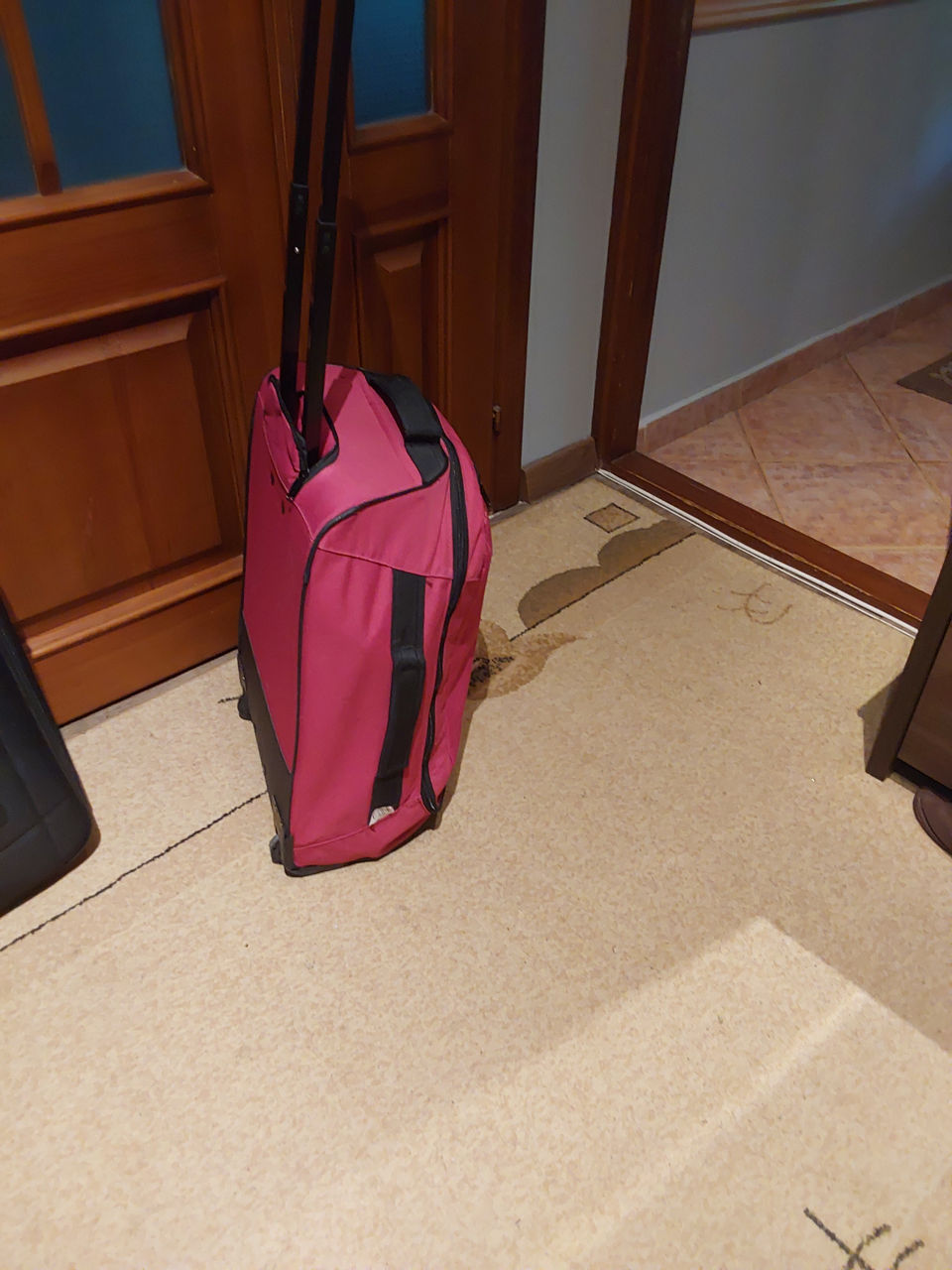 Valiza 55/35/25 cm 400 lei