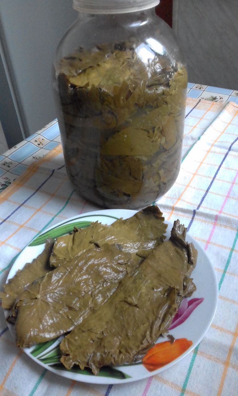 Frunze de vie , marar ,leustean , menta toate uscate