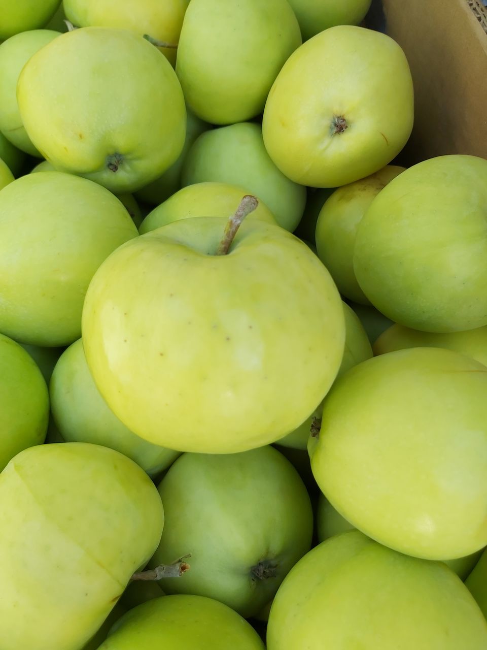 Vindem mere Belîi Naliv, or.Durleşti