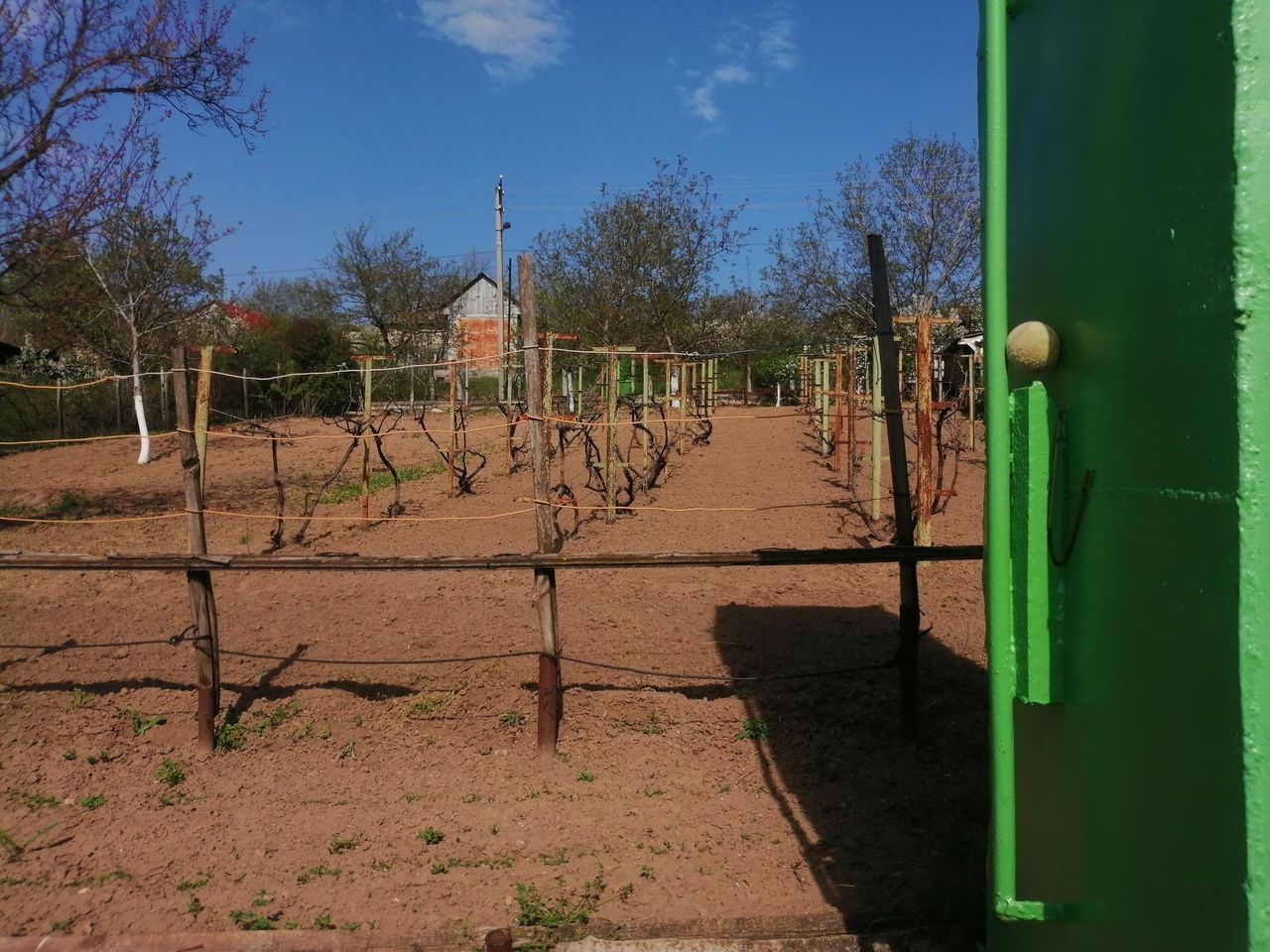 Gradina bine îngrijită la preț bun gard prin prejur 3sote vie 3 sote livada