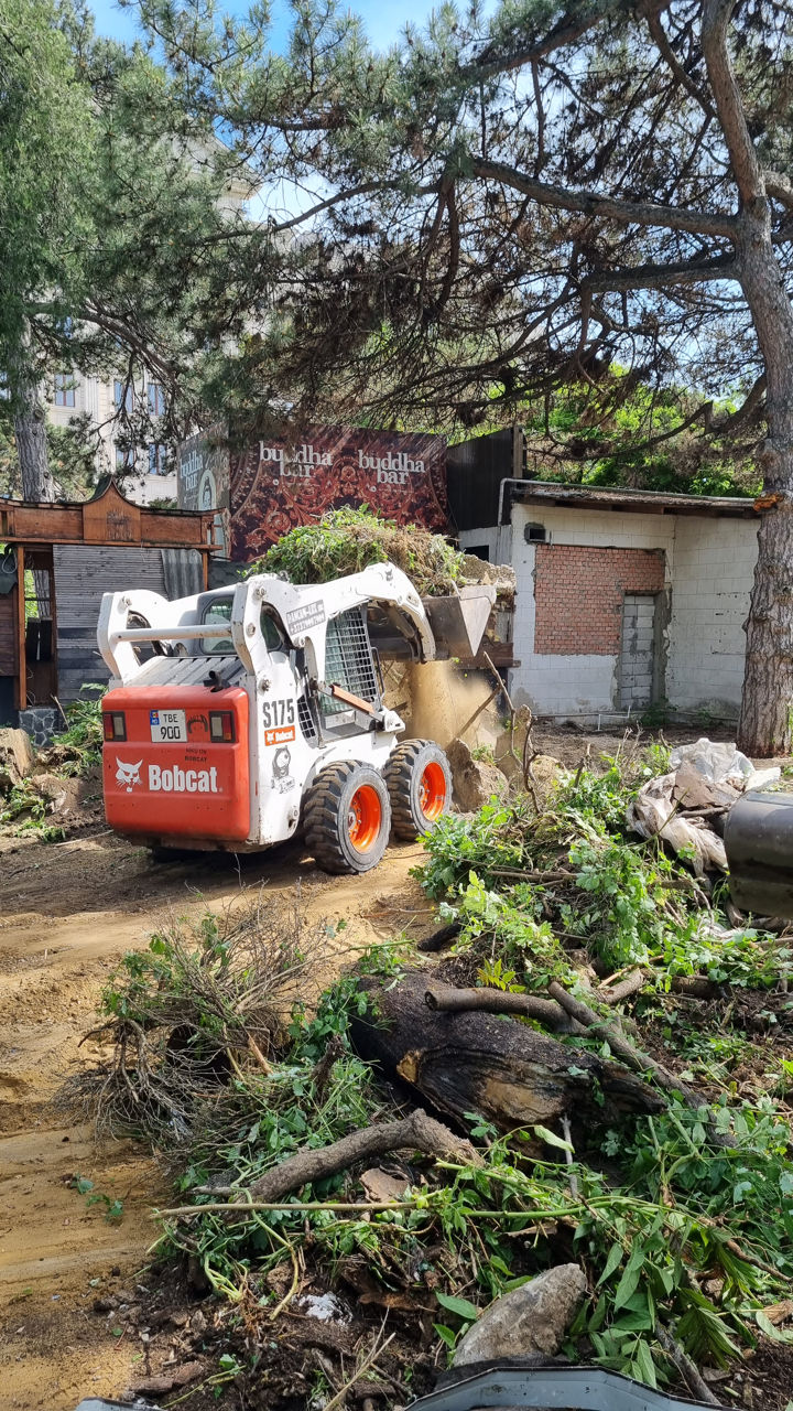 Defrisarea terenurilor