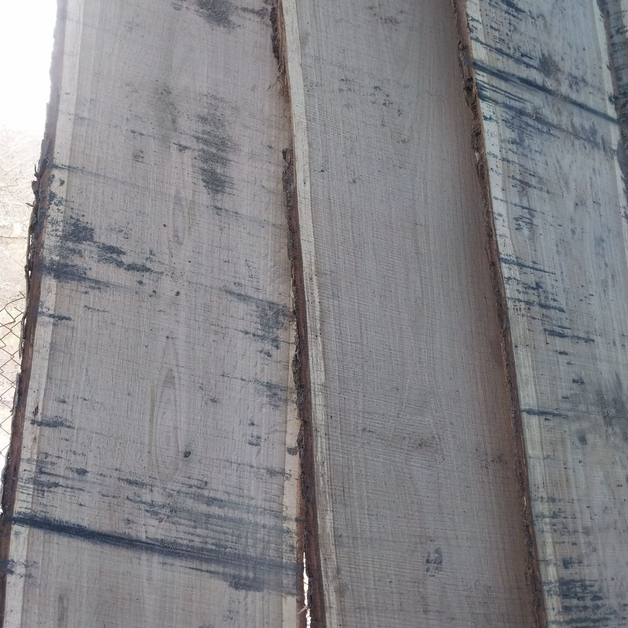 Cherestea de nuc,stejar,frasin,verde.