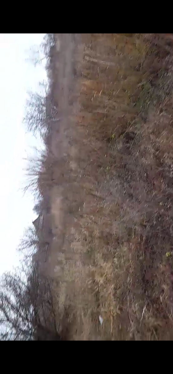 Casa veche cu teren de 35 -ari spre vinzare