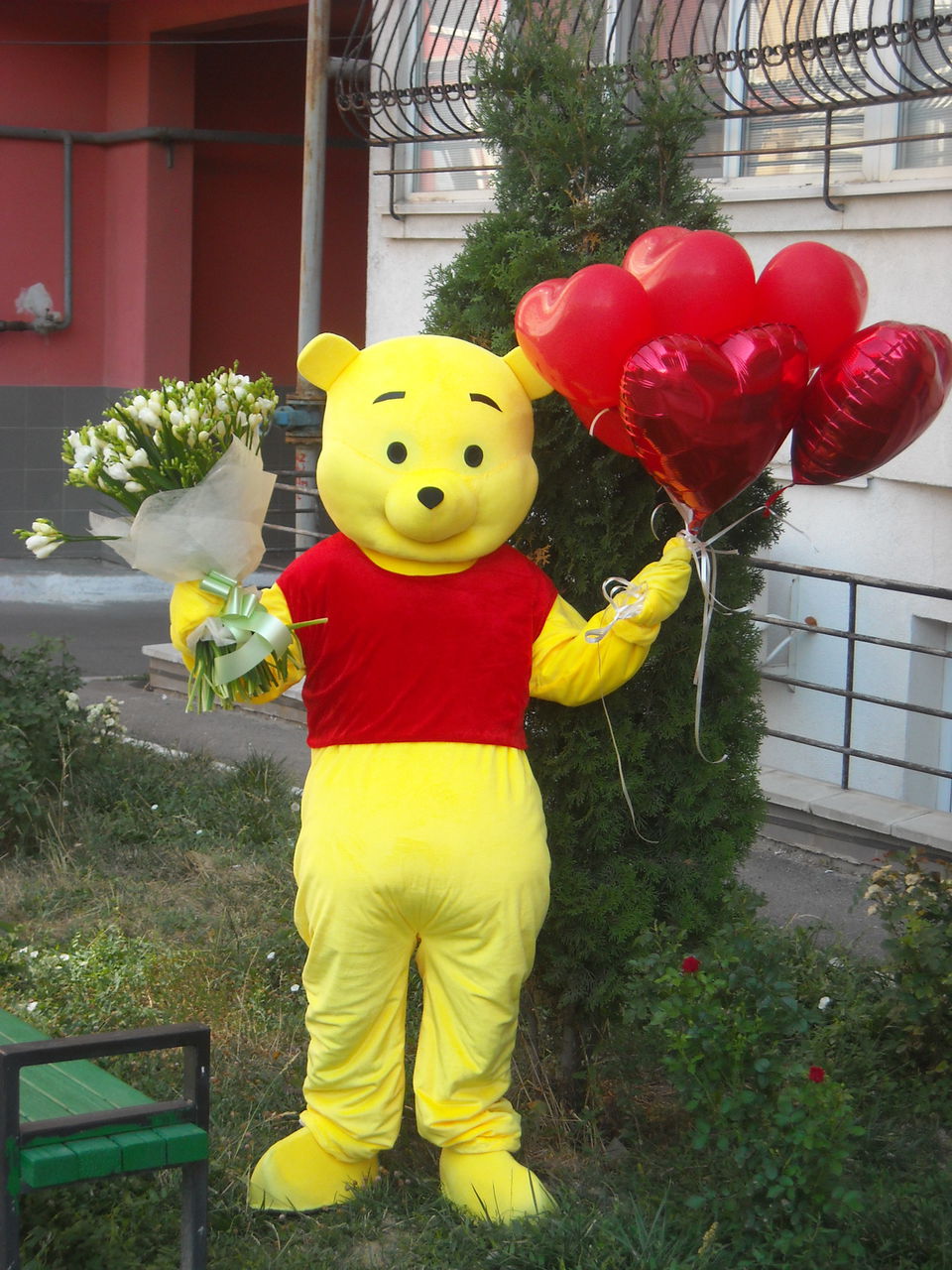 Panda, Winnie the Pooh, Tigra, Mickey si Minnie mouse, Микки и Минни ...