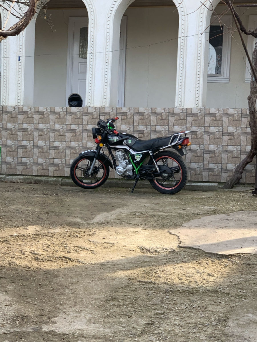 Wolf Motors Wolf motor