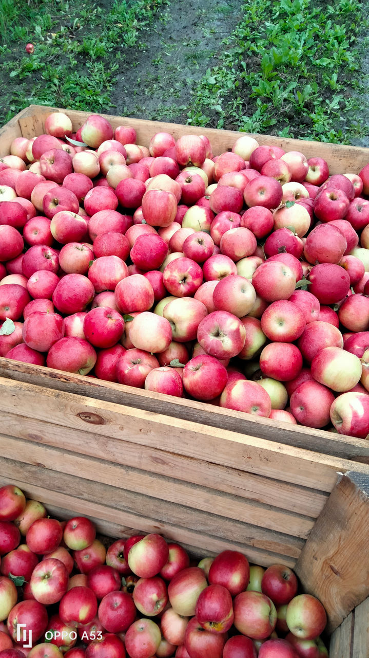 Aidaret 65+ на бус не звонить