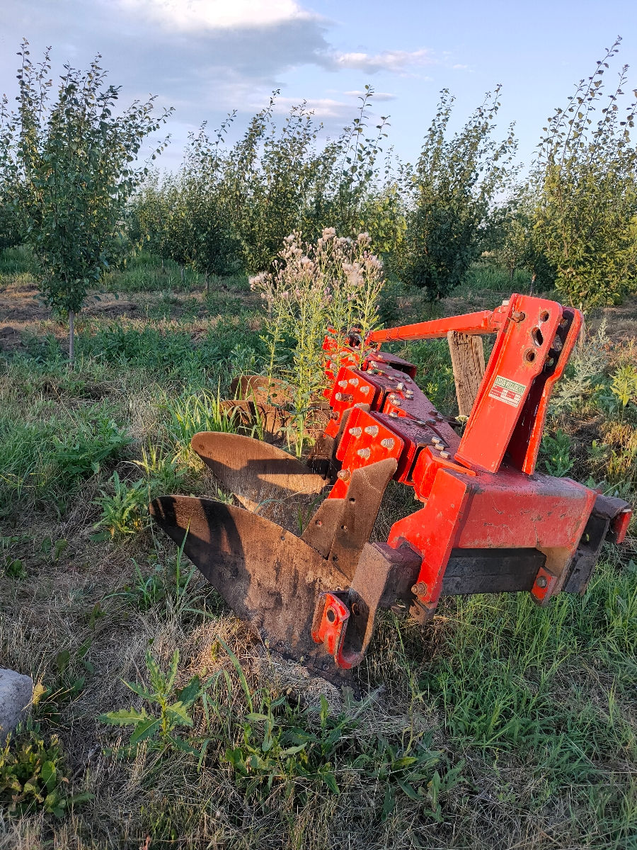 Plug, grapa cu discuri