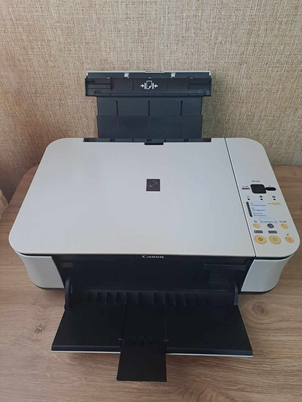 Canon Pixma MP250 + Чернила.