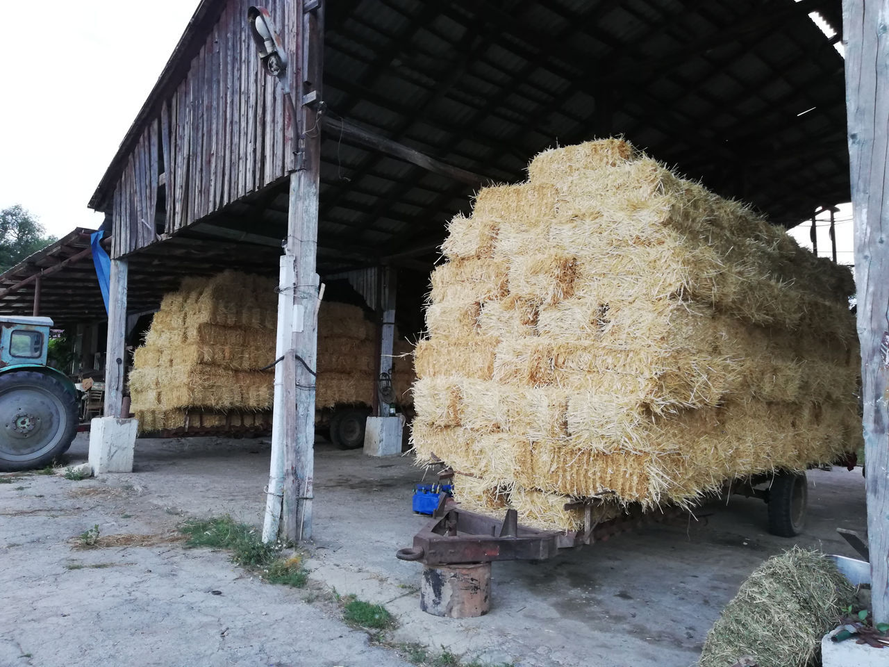 Baloti paie si grau, Tiucuri 2023