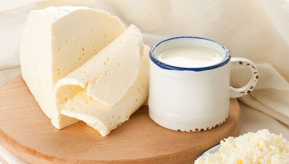 Produse lactate cu gust extraordinar brânza de vaci caș lapte
