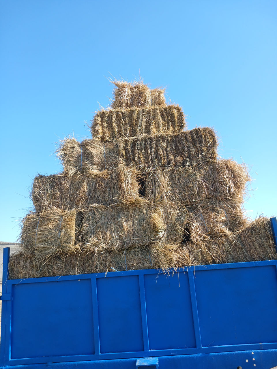 Vind 100 baloti de fin