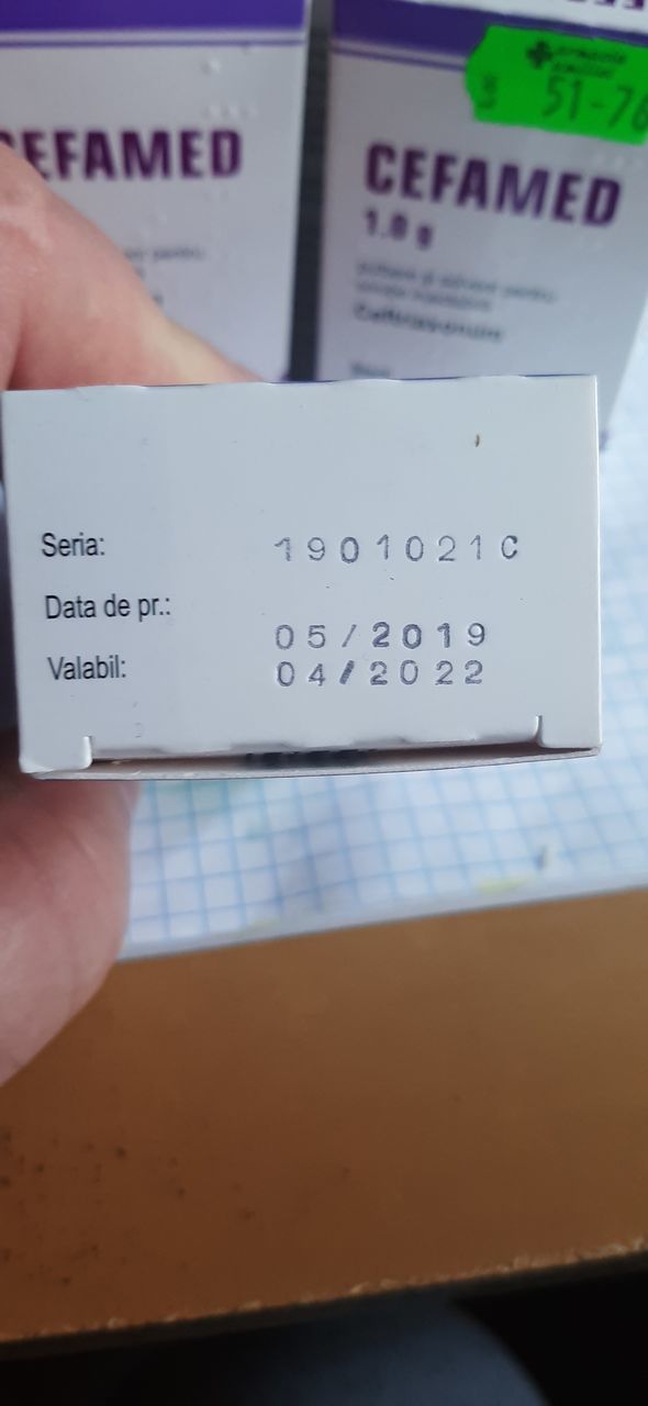 .Cefamed ...Angioflux