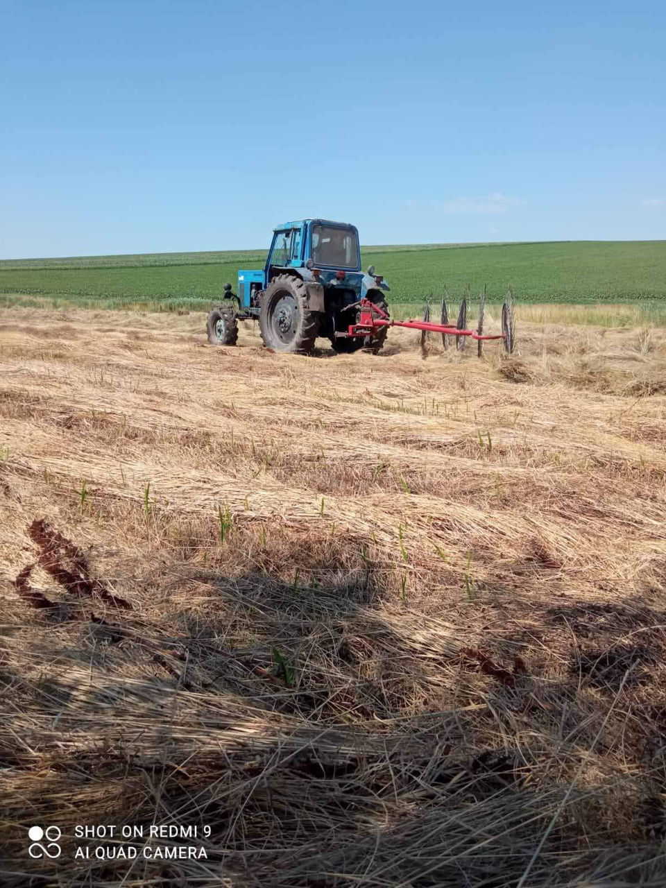 MTZ 80