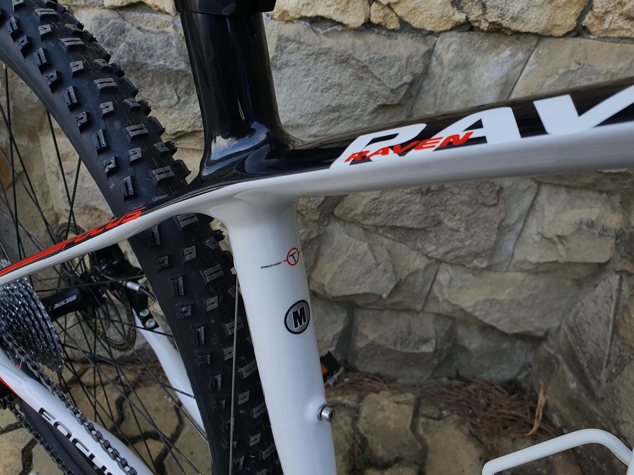 Focus 29er Carbon