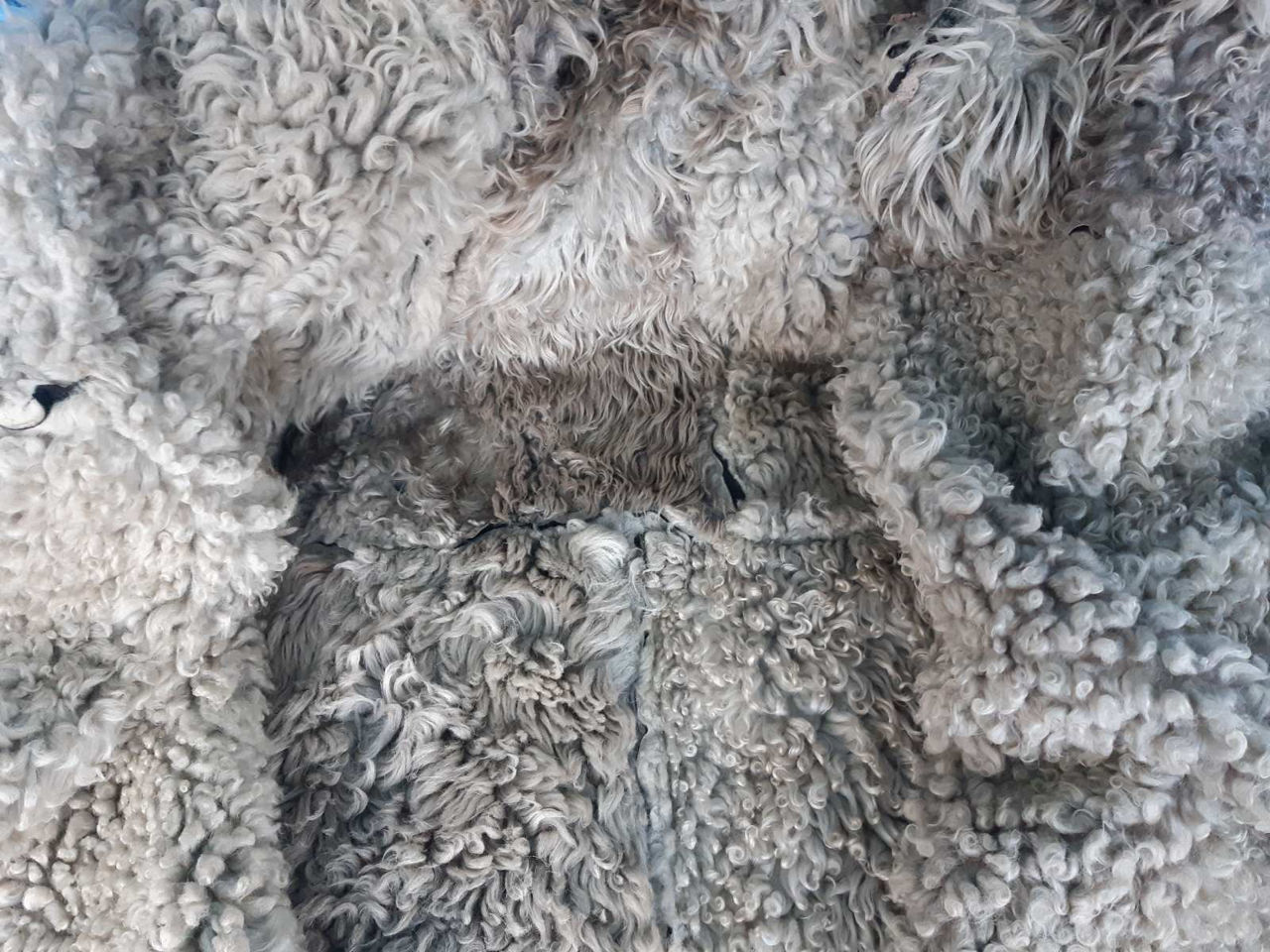 Тулуп из натуральной овчины, palton haină din piele naturală de oaie ...