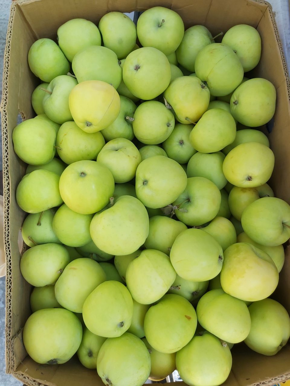 Vindem mere Belîi Naliv, or.Durleşti