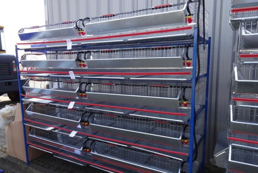 Custi prepelite, importate din Romina, se afla in Balti.Sint trei custi ...