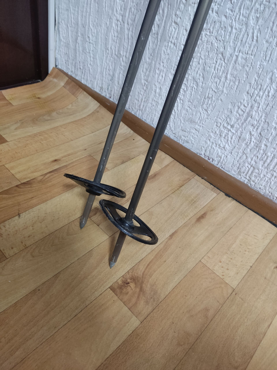 Лыжные палки