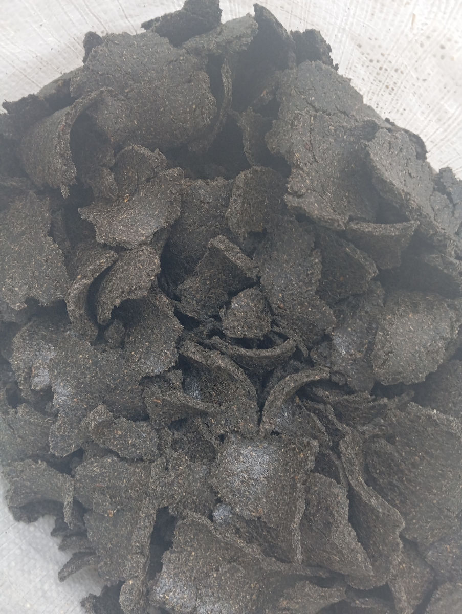 Macuc de floarea soarelui