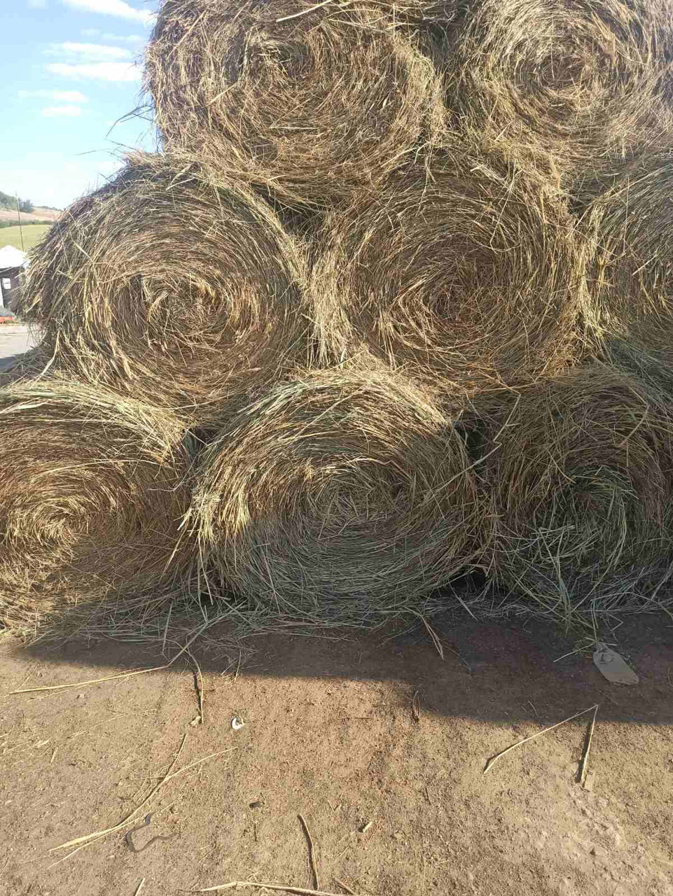 Продам сено и солому