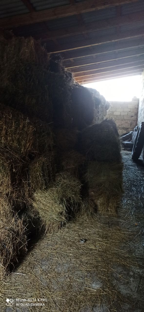 150 de baloti de fin