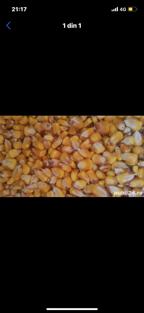 Vind porumb 12/15 tone