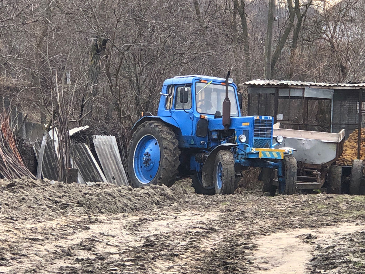 Mtz