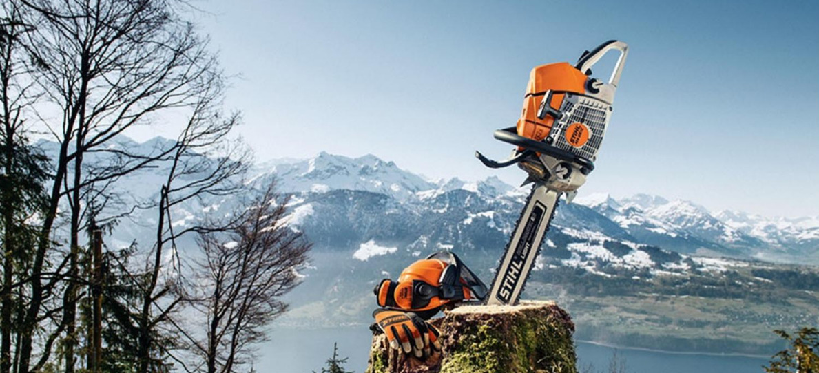 Defrisarea copacilor in spatii închise! Tăiem lemne și copaci