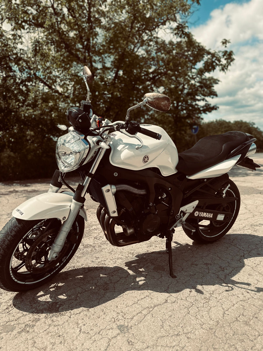 Yamaha FZ6-N