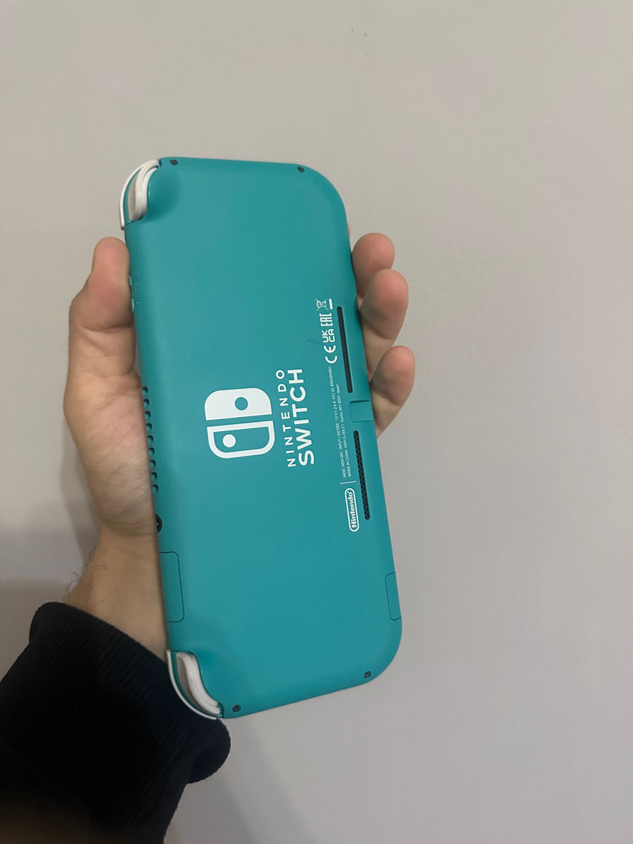 Nintendo switch lite