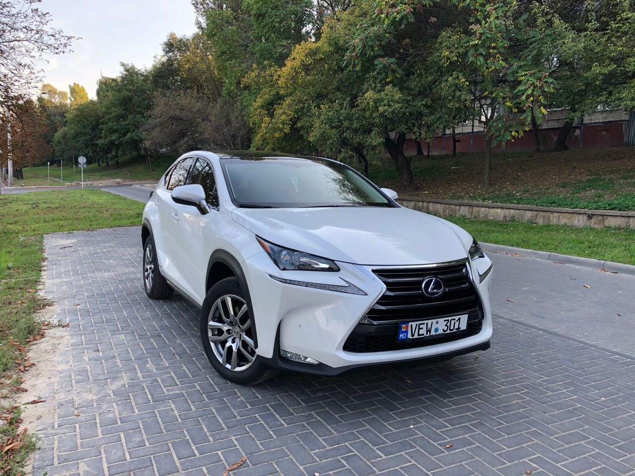 Lexus NX Series