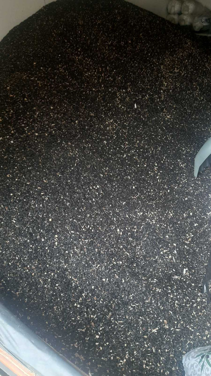 Vindem floarea soarelui