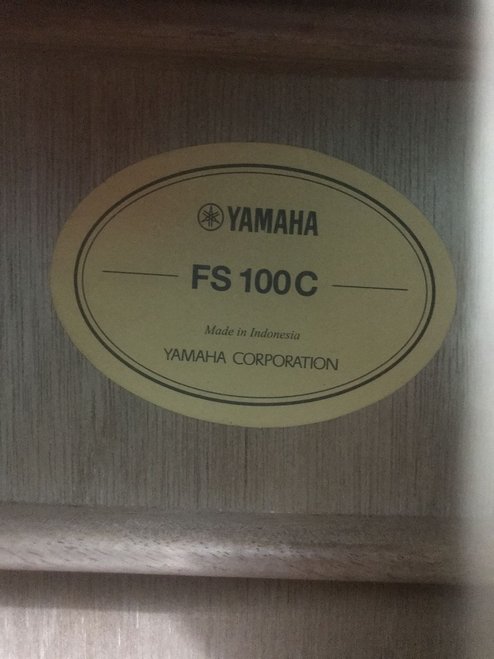 Yamaha FS 100C