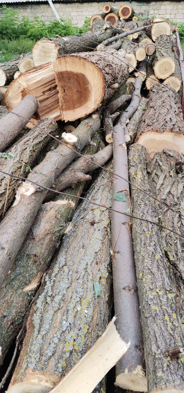 Lemne de foc Salcam Artar