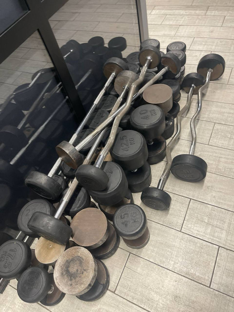 Inventar sportiv (botanica)