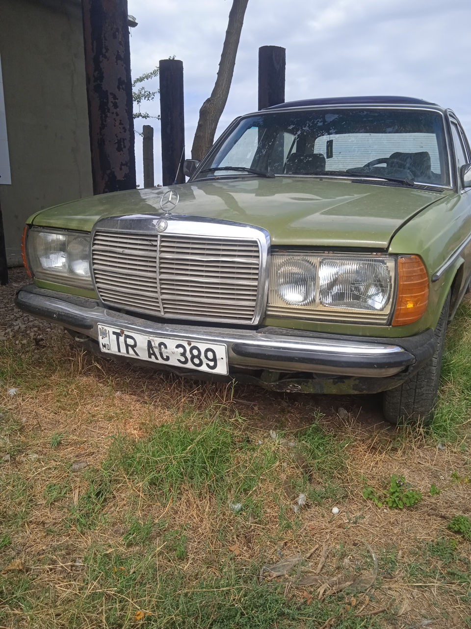 Mercedes Series (W123)