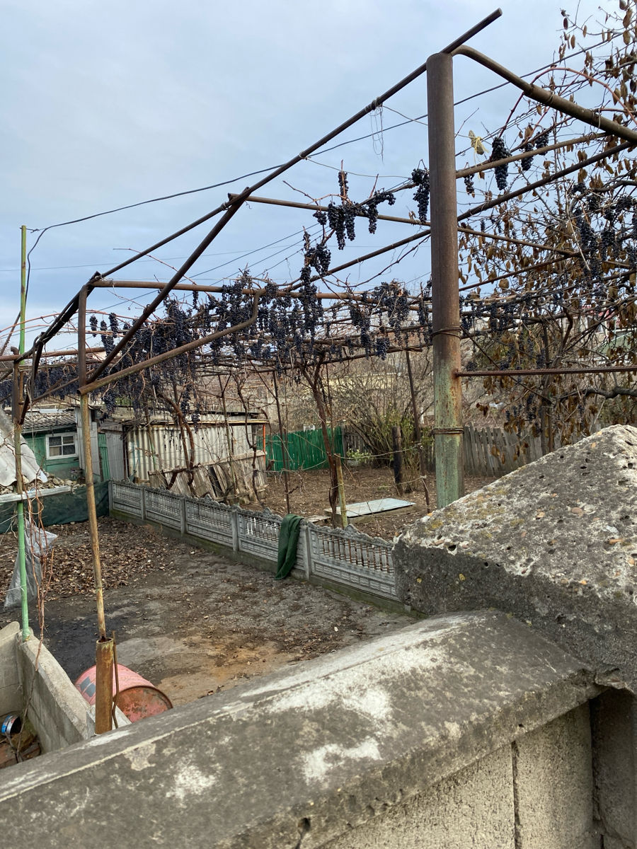 Caut casă de locuit.