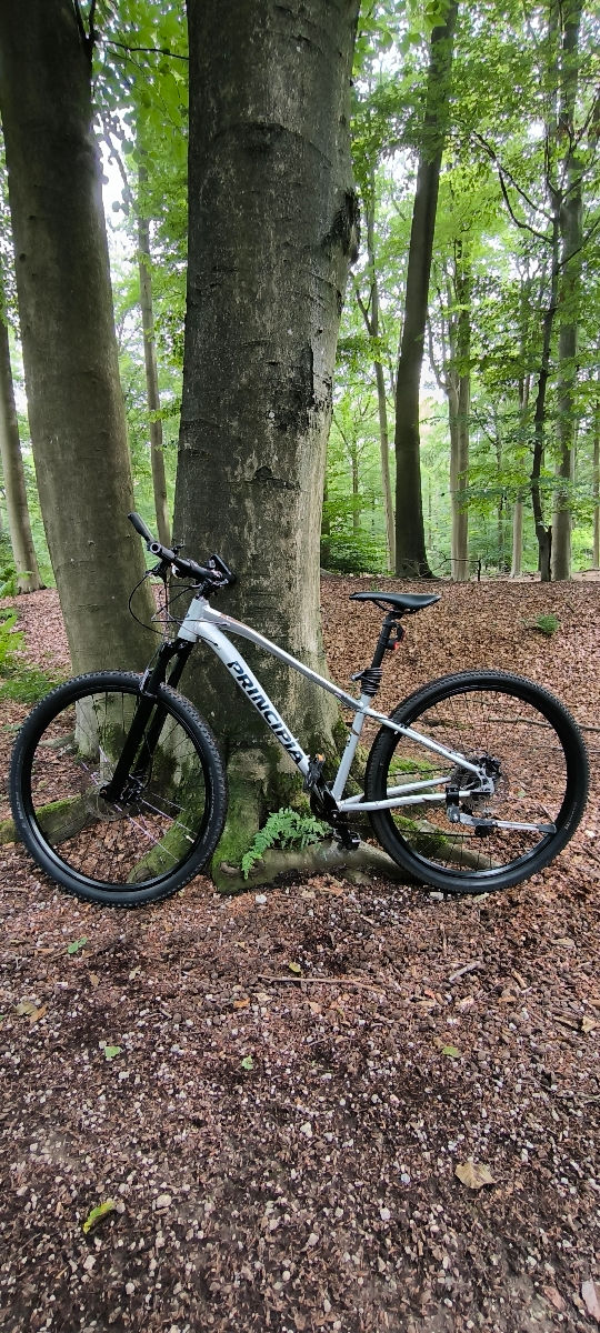 Principia Evoke A5 9 29 Silver Mtb 2022