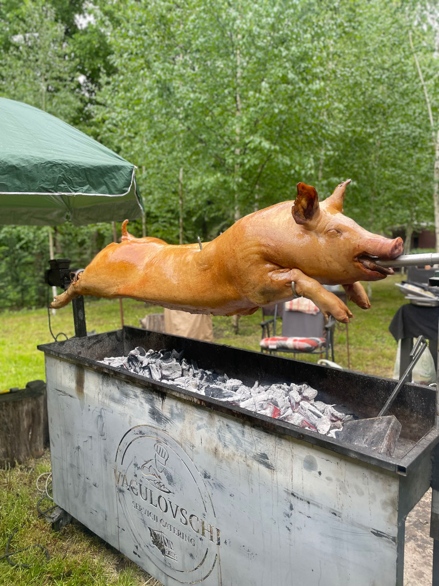 rotisor /protap/porc