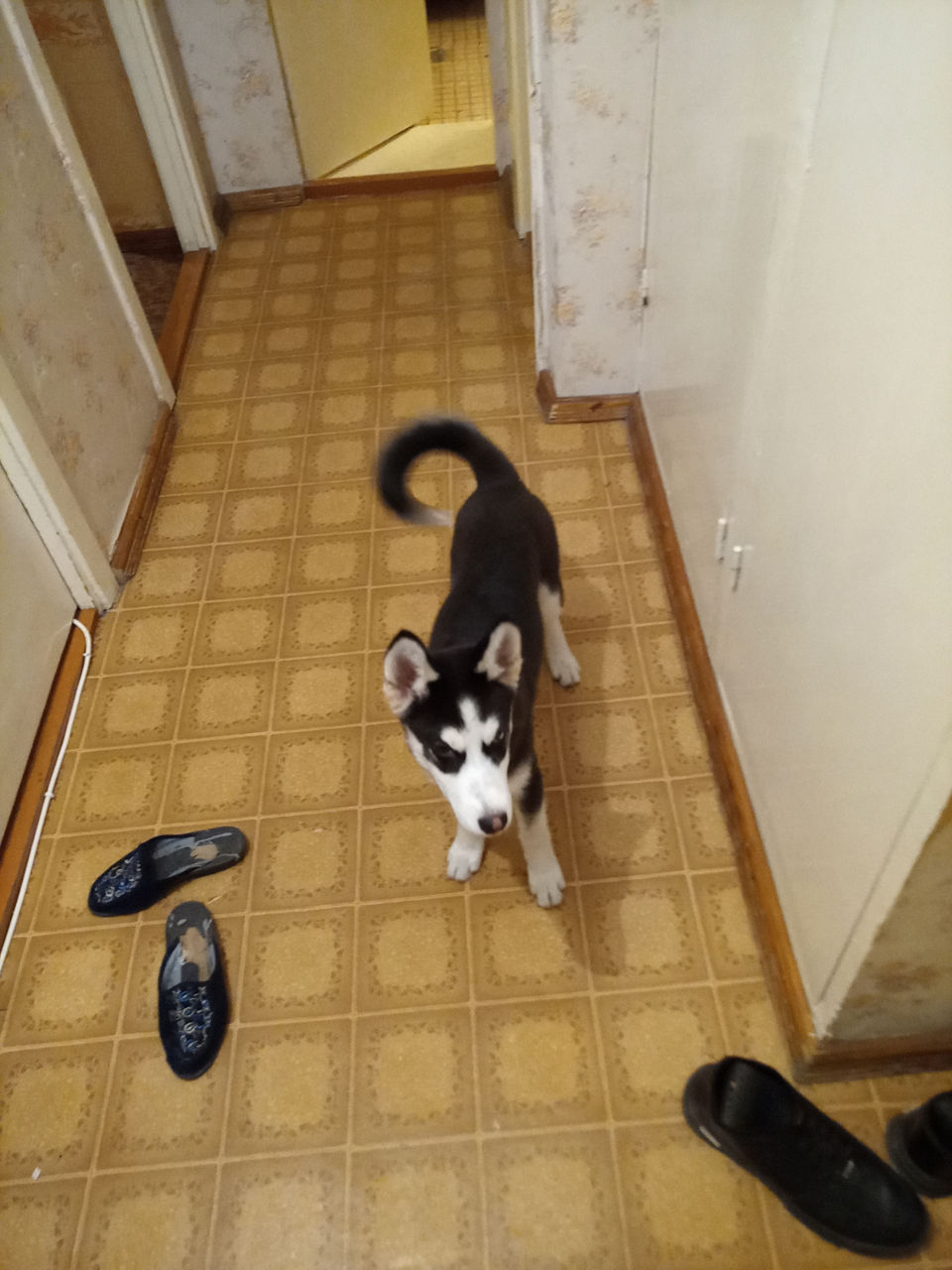 Pentru mai multe detalii sunati