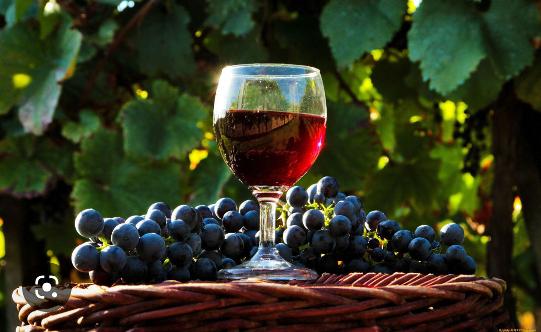 Vin rosu de calitate inalta de casa. Merlot.