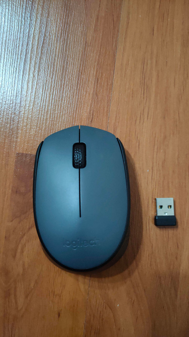 Мышь Logitech M170, беспроводная