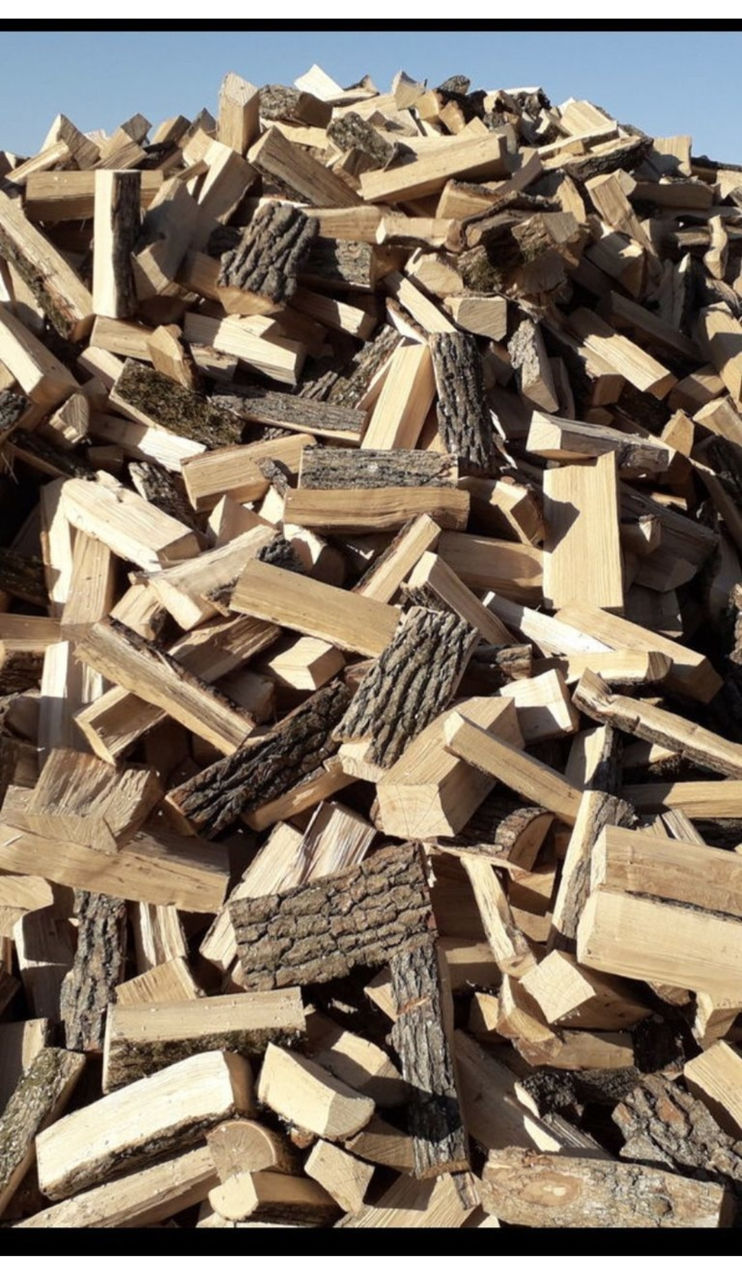 Lemne de foc speci tari