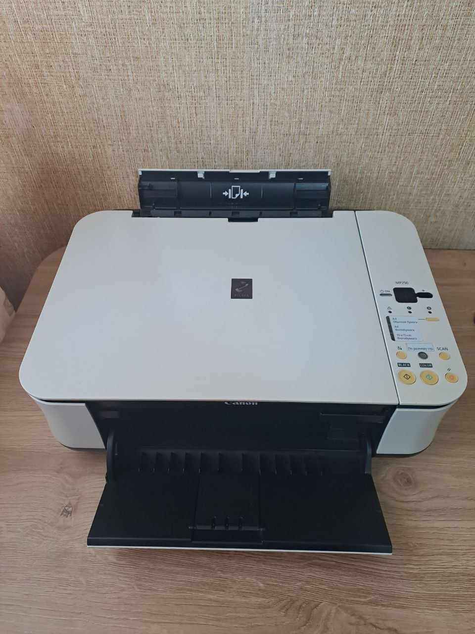 Canon Pixma MP250 + Чернила.